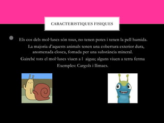 Mol·luscs (roser i andrea) | PPTX