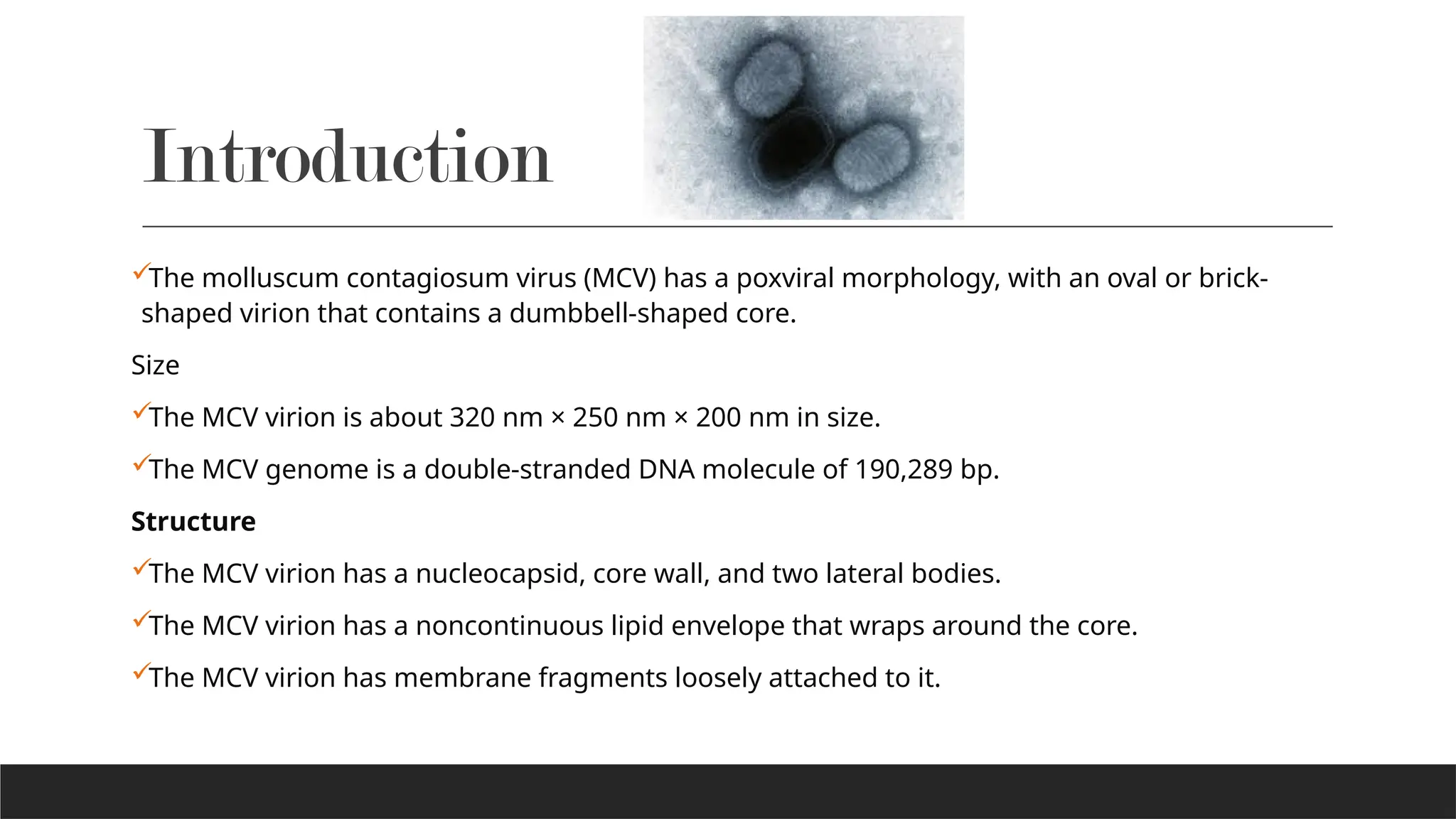 Molluscum Contagiosum Virus.pptx........ | PPTX