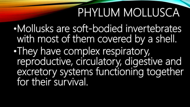 Mollusks | PPTX | Geology | Science