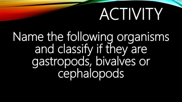 Mollusks | PPTX | Geology | Science