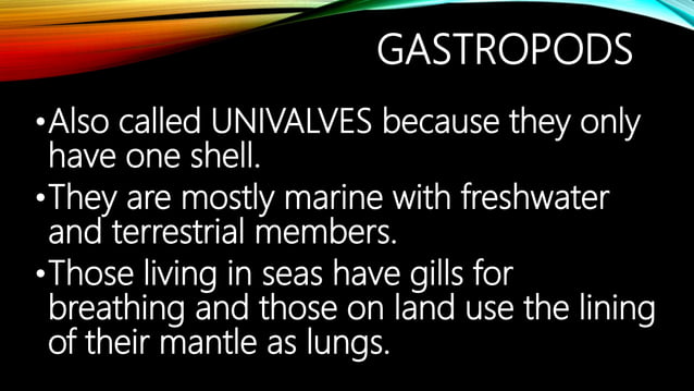 Mollusks | PPTX | Geology | Science