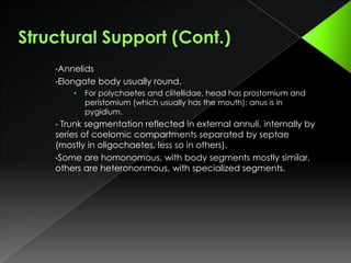 Mollusks and annelids | PPTX