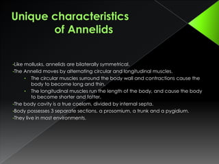 Mollusks and annelids | PPTX