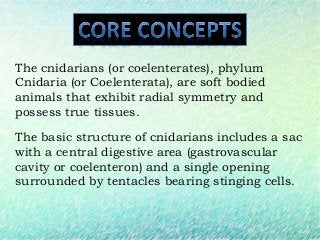 Mollusks and cnidarians | PPTX