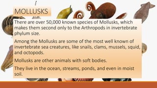 MOLLUSKS AND UNIVALVES.pptx