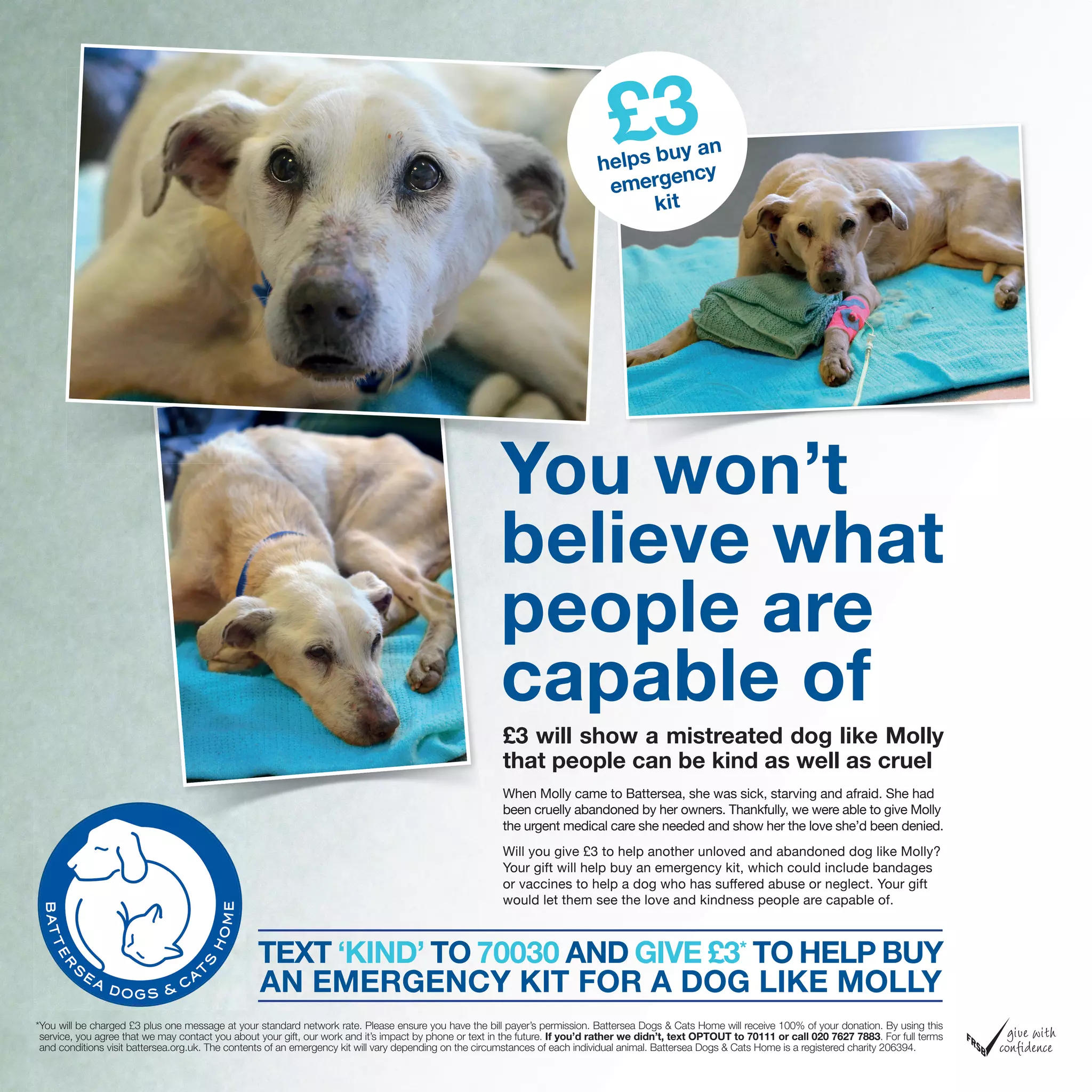 Molly BDCH advert | PDF