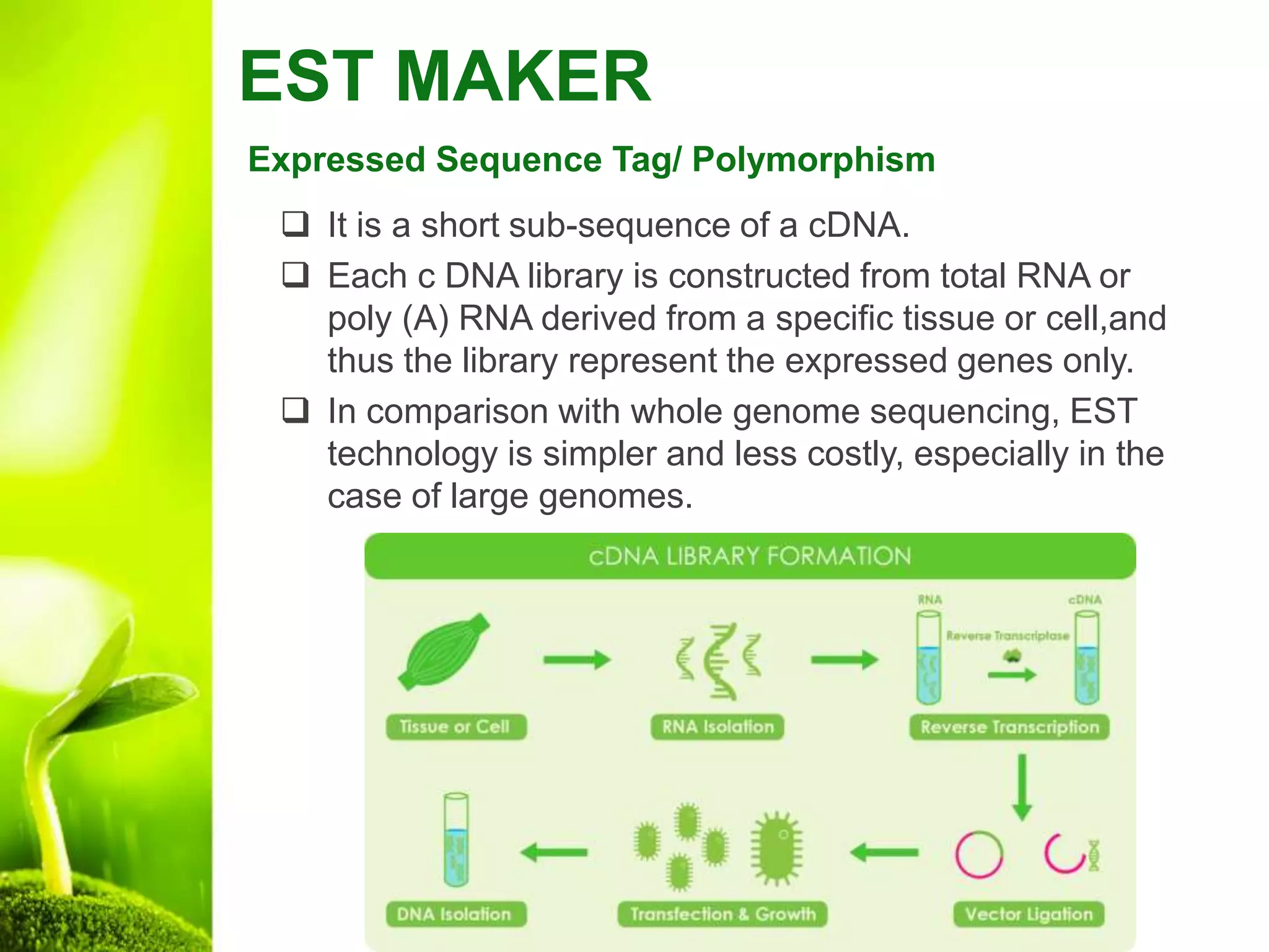 Molecular markers | PPTX
