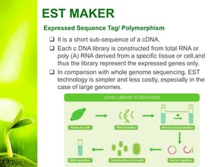 Molecular markers | PPTX