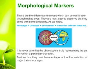 Molecular markers | PPTX