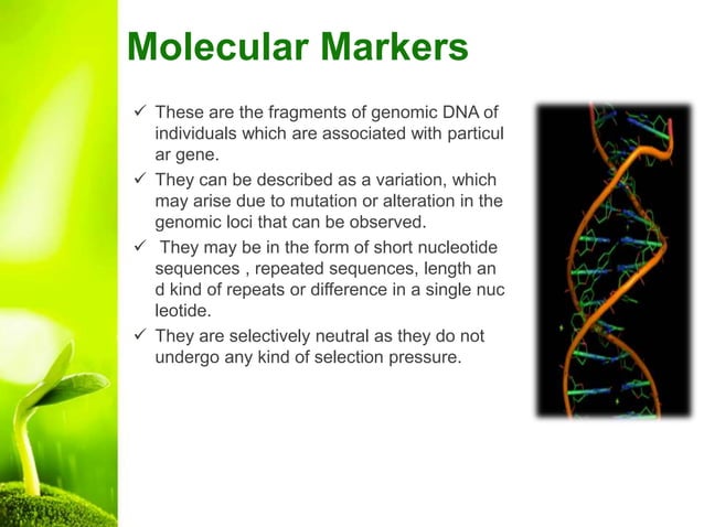 Molecular markers | PPTX | Genetics | Science