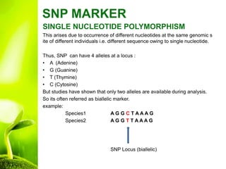 Molecular markers | PPTX