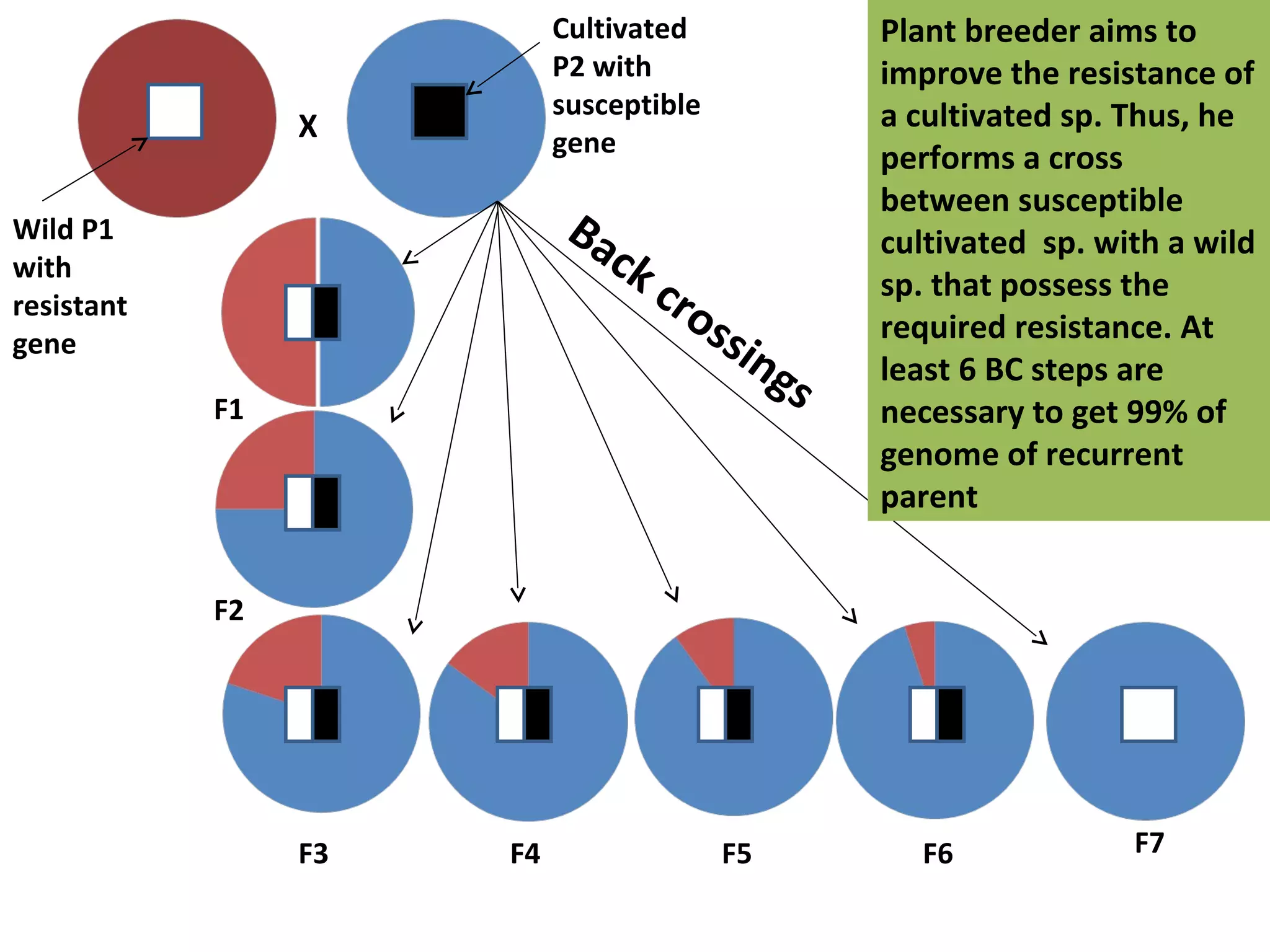 Molecular Markers, their application in crop improvement | PPT