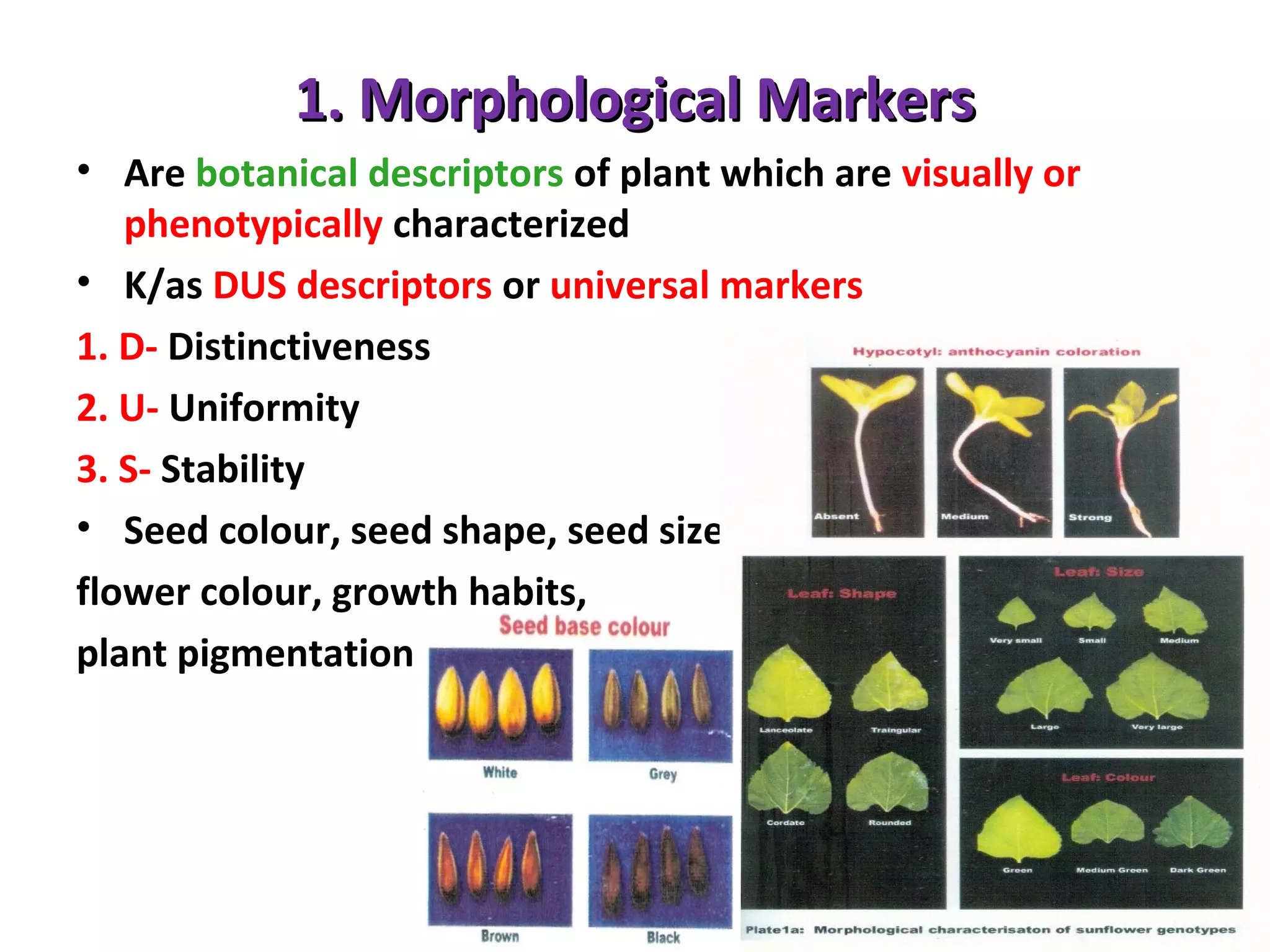 Molecular Markers, their application in crop improvement | PPT