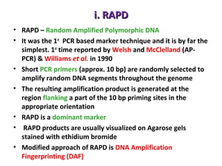 Molecular Markers, their application in crop improvement | PPT