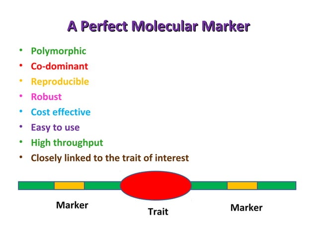 Molecular Markers Their Application In Crop Improvement