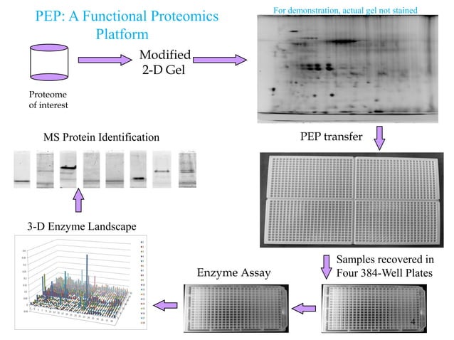 PEP Functional Proteomics Technology | PPT