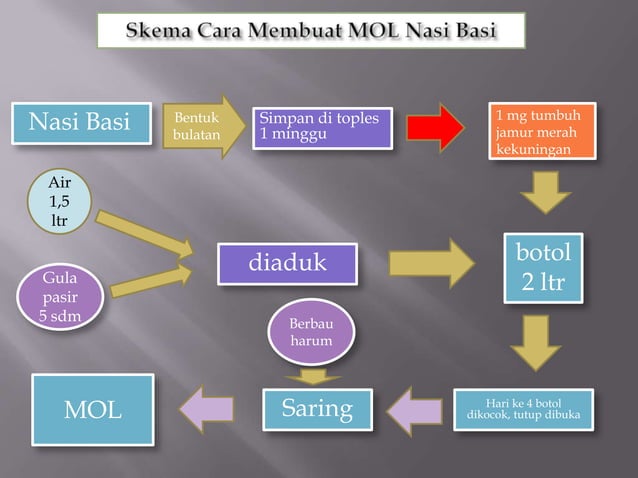 Membuat Mikroorganisme Lokal Dari Nasi Basi | PPTX