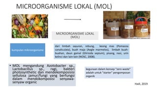 MOL_Reva Aulia Qorri_1710421014.pptx