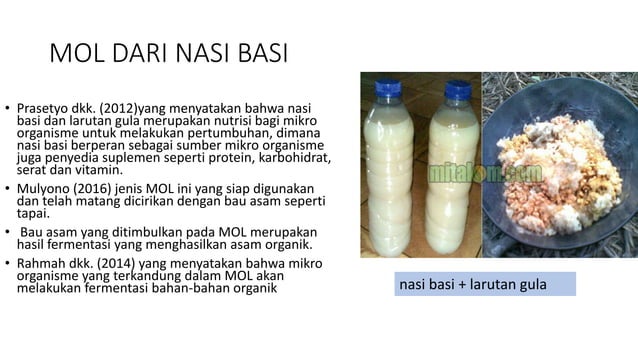 MOL_Reva Aulia Qorri_1710421014.pptx