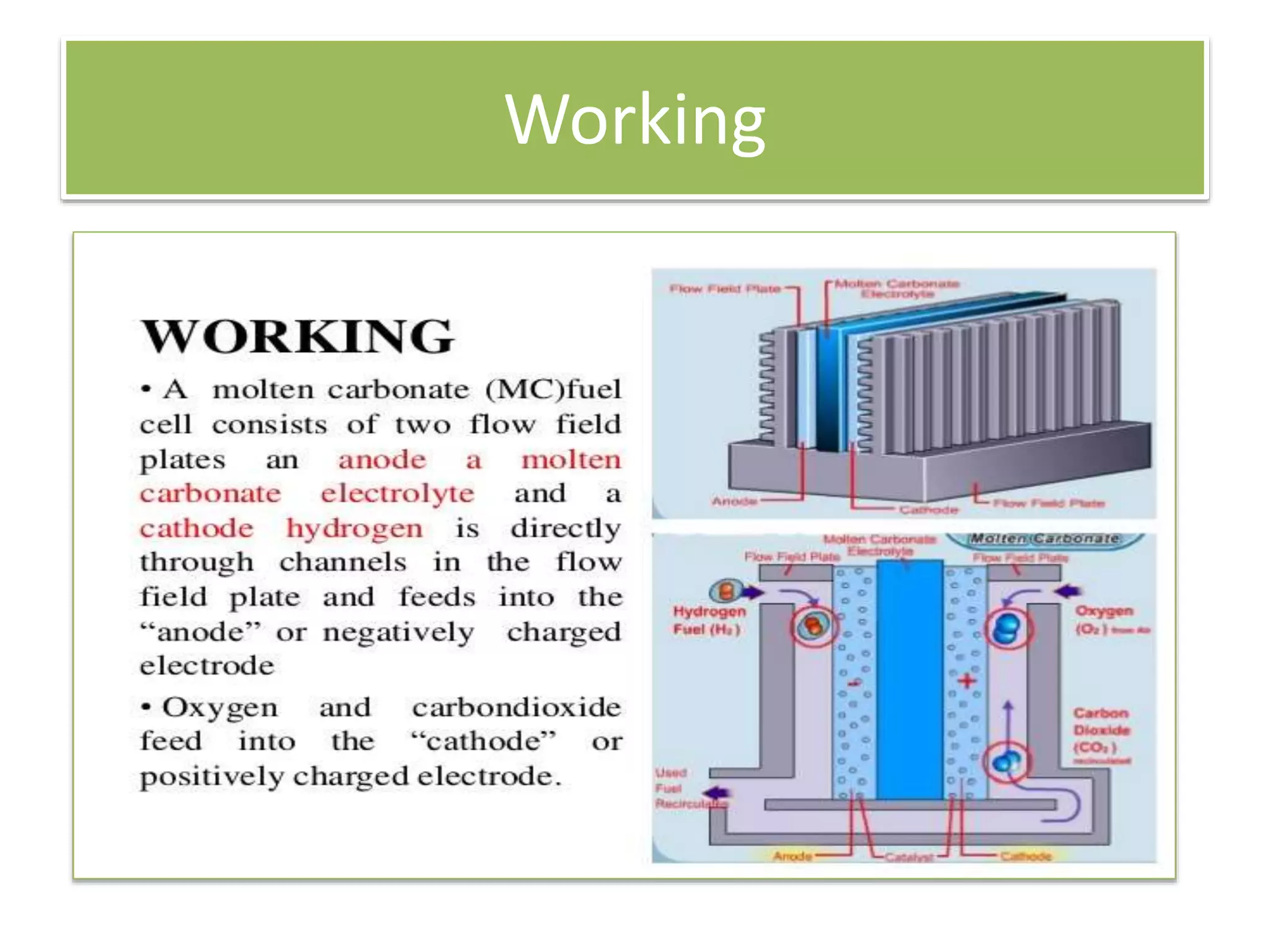 Molten carbonate fuel cell | PPTX