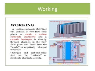 Molten carbonate fuel cell | PPT