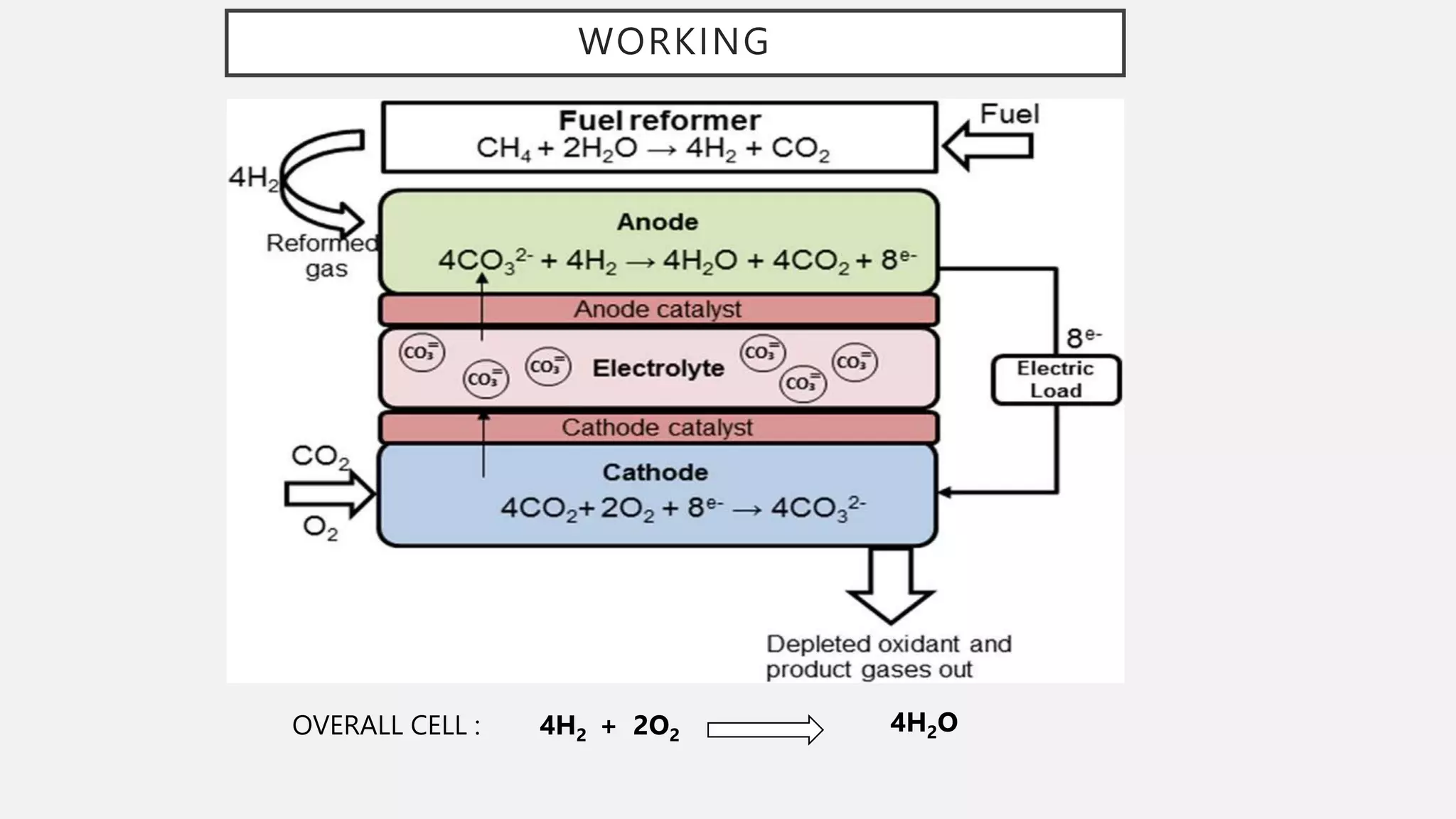 MOLTEN CARBONATE FUEL CELL.pptx