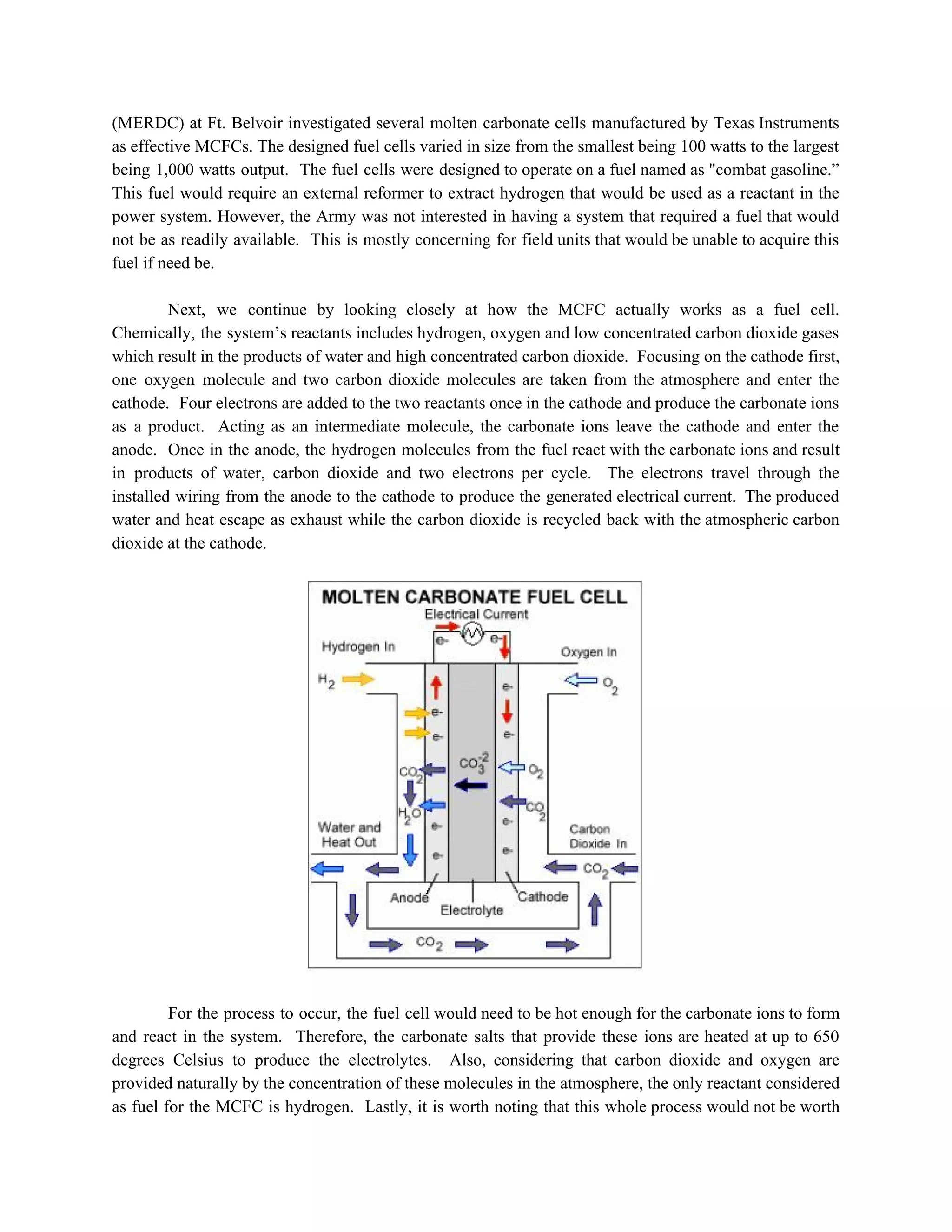 Molten carbonate fuel cells report | PDF