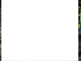 Moulting of hens by Dr.Muhammad Ashiq Toor | PPTX