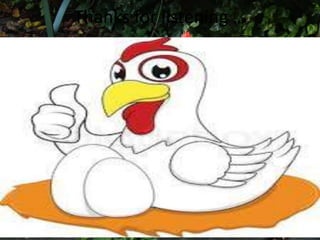 Moulting of hens by Dr.Muhammad Ashiq Toor | PPTX