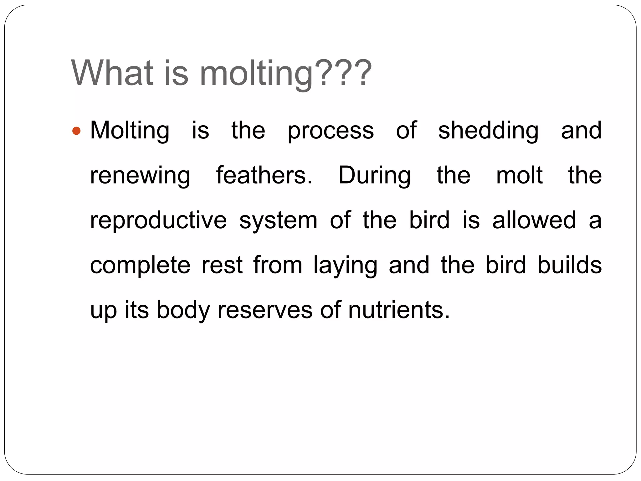 Molting | PPTX