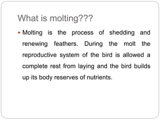 Molting | PPTX