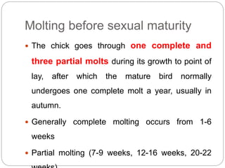 Molting | PPTX