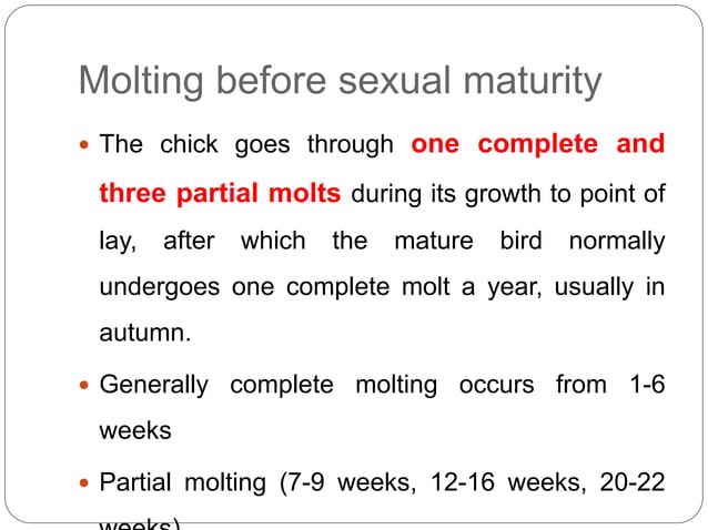 Molting | PPTX