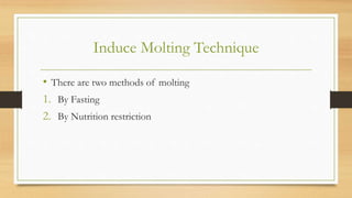 Molting of lying hens | PPTX
