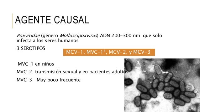 MOLUSCO CONTAGIOSO