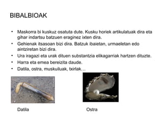 Moluskoak | PPT