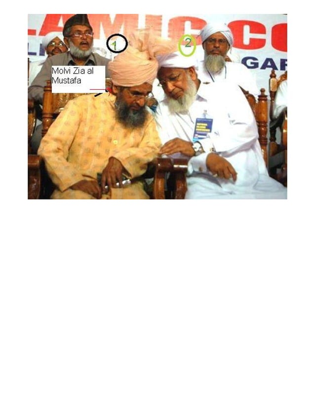 Molvi zia al mustafa image picture | PDF