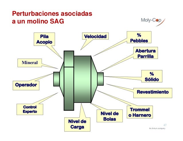 Moly cop molienda sag