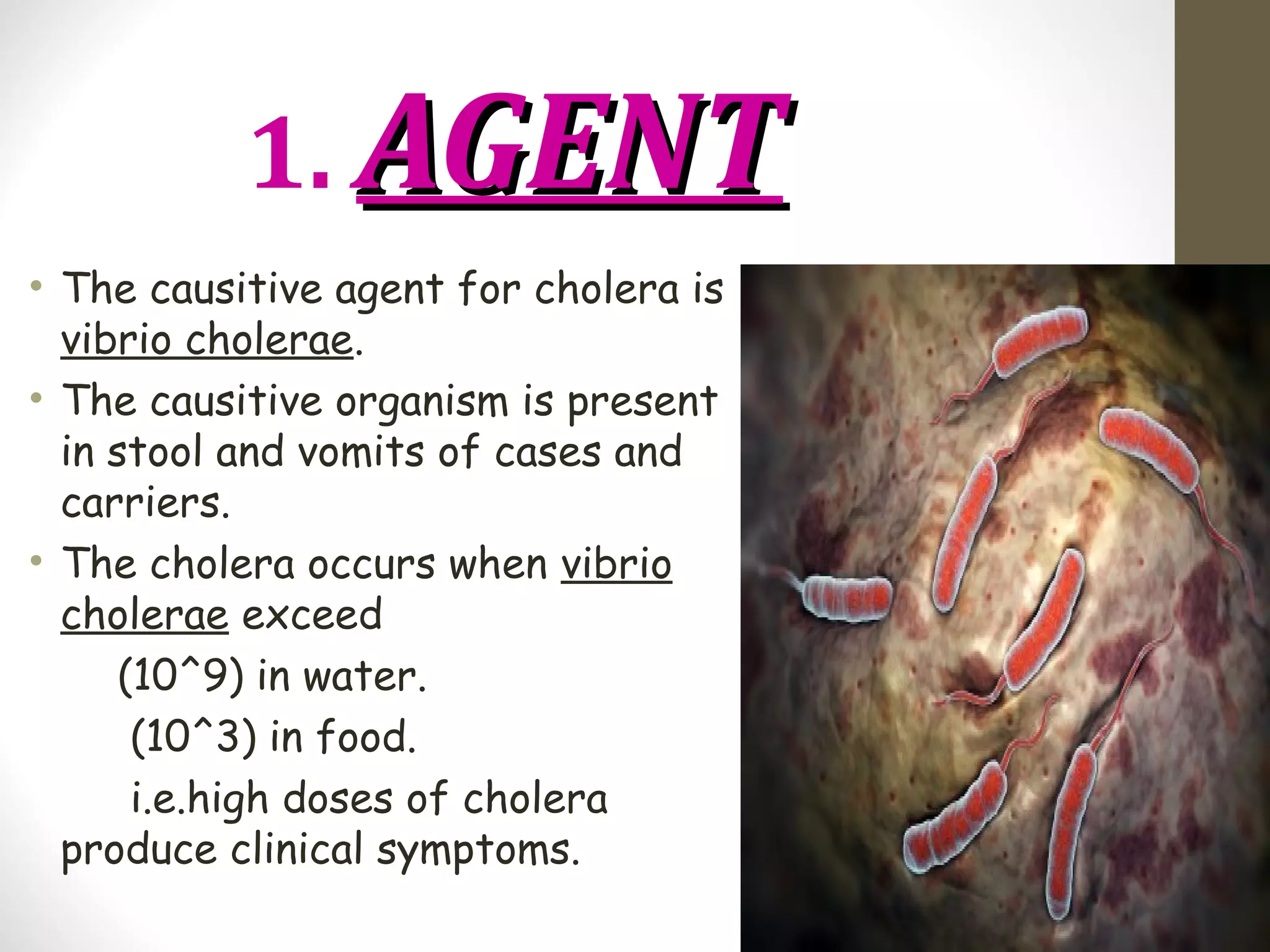 CHOLERA PPTS....BY REKHA | PPT