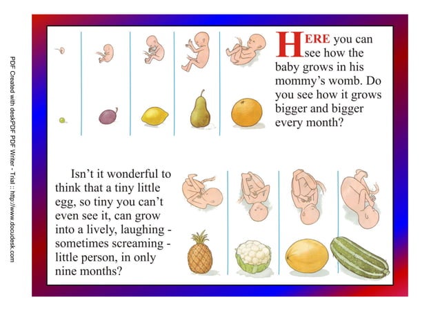 Mom, Where Do Babies Come From? | PDF
