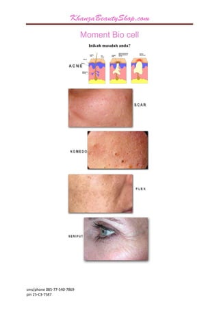 Moment bio cell original | PDF