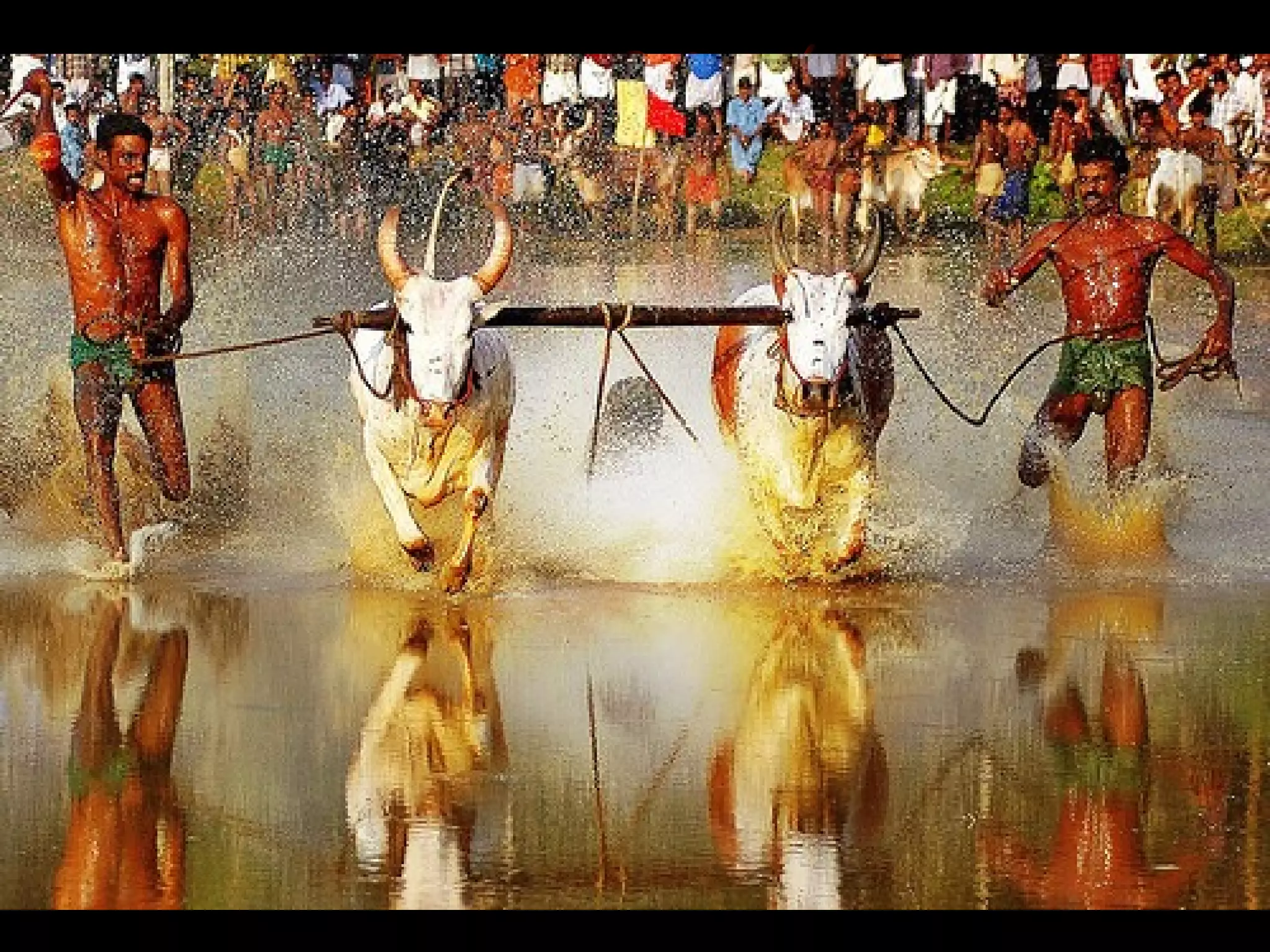 Moments Of India | PPT