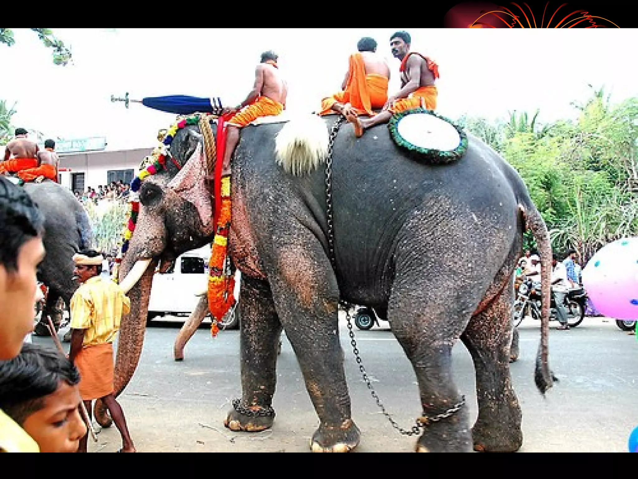 Moments Of India | PPT