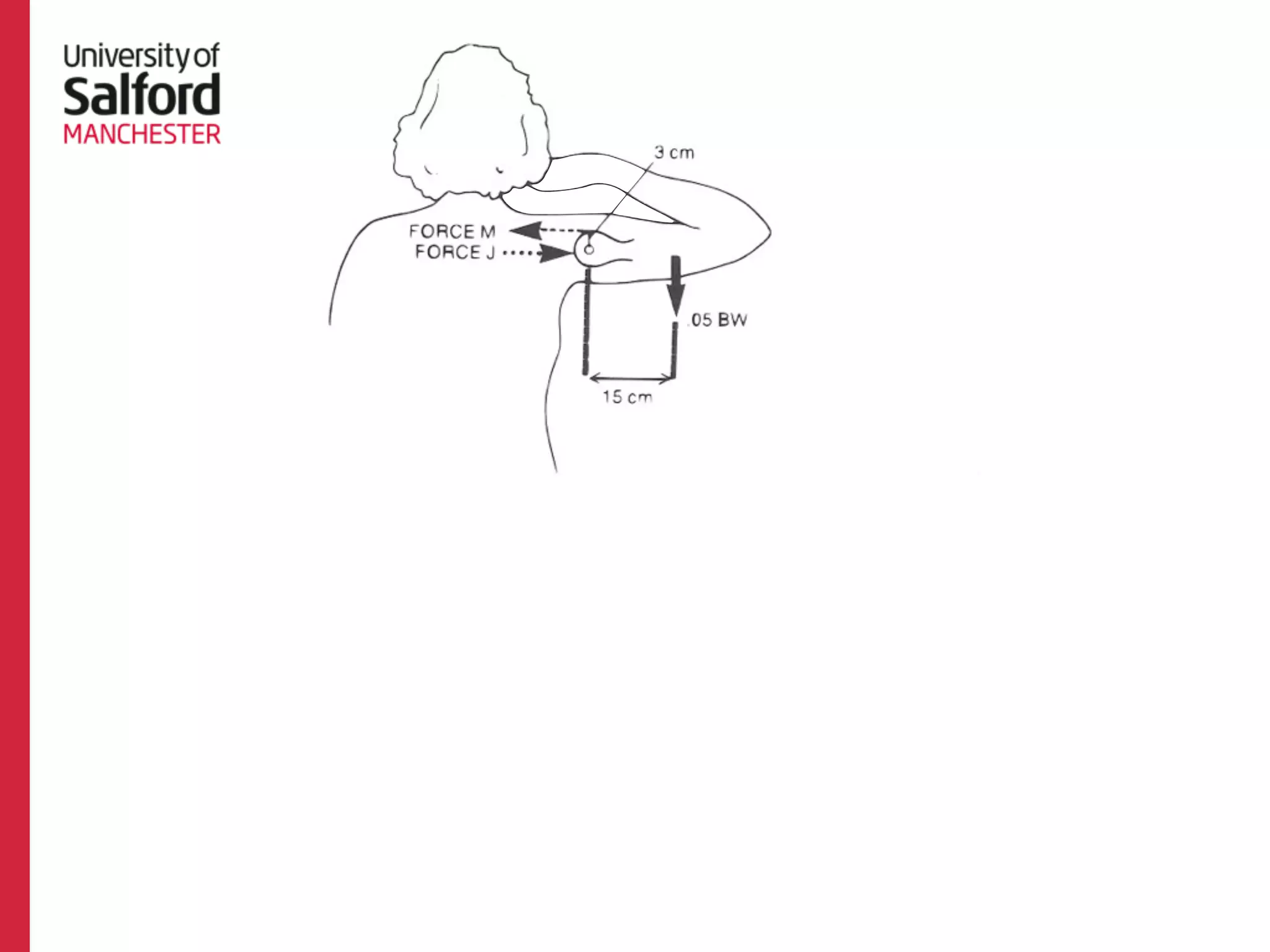 Moments and forces shoulder elbow | KEY