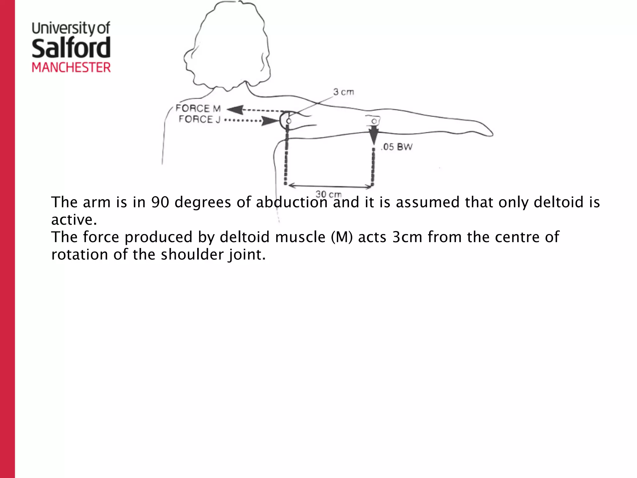 Moments and forces shoulder elbow | KEY
