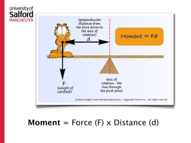 Moments and forces shoulder elbow | KEY | Physical Therapy | Wellness