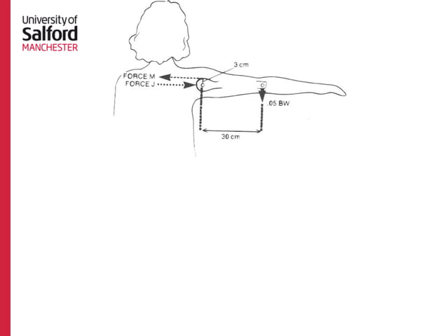 Moments and forces shoulder elbow | KEY | Physical Therapy | Wellness