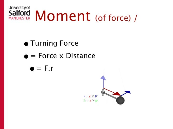 Moments and forces shoulder elbow