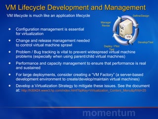 Momentum Webcast HP Virtualization | PPT
