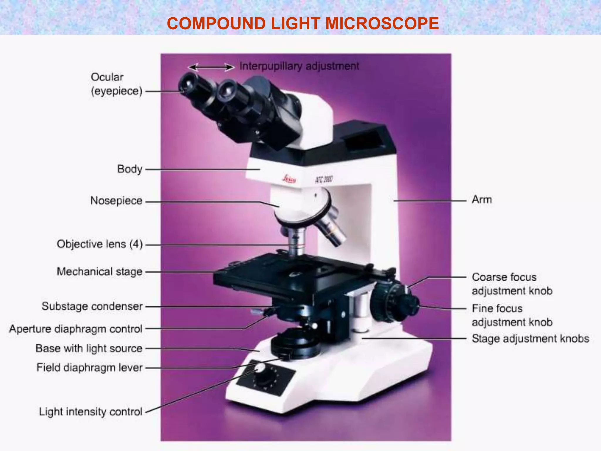 Microscopy | PPTX